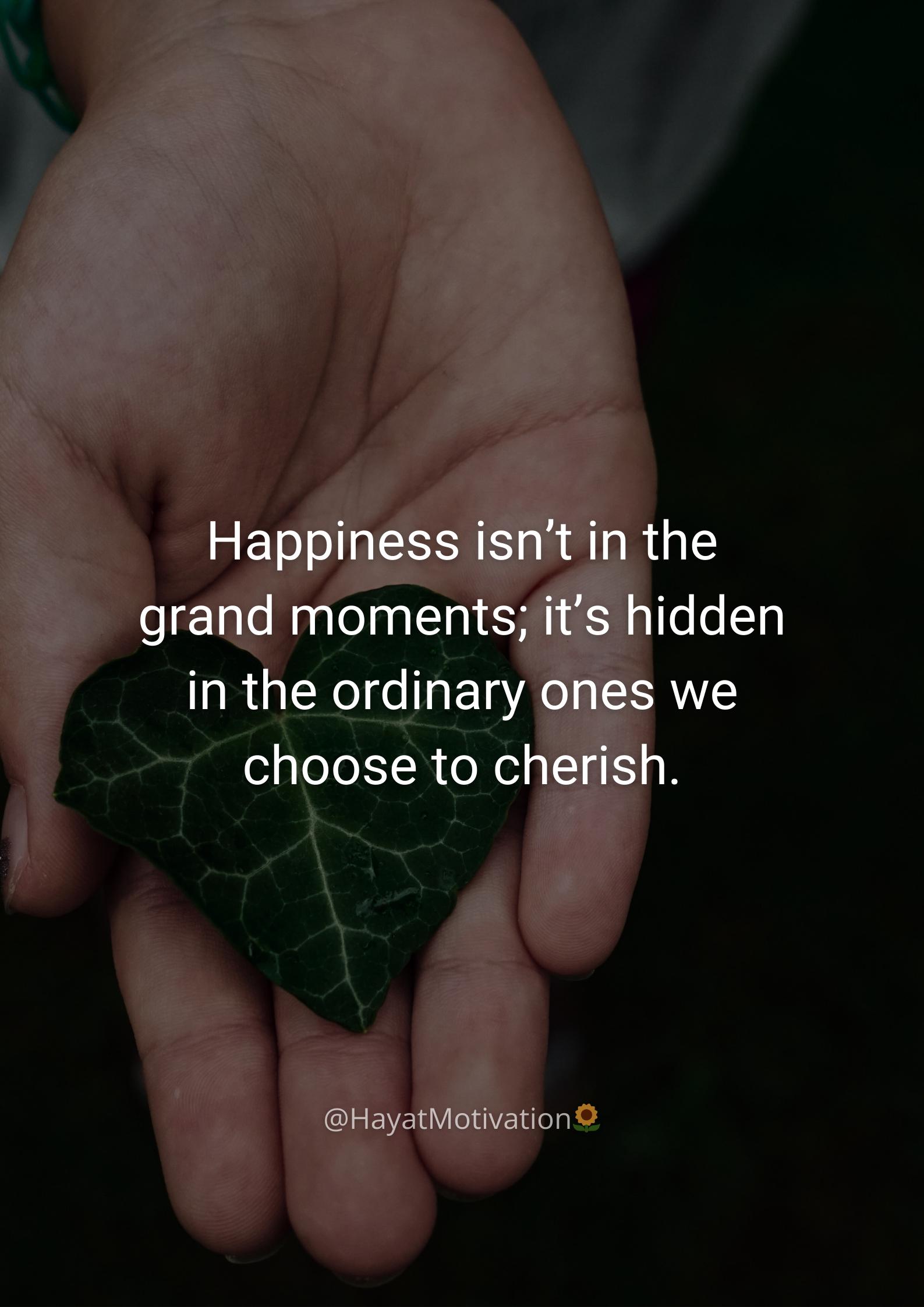 Little Things, Big Heart: How to Find Joy in Everyday Life - Hayat ...