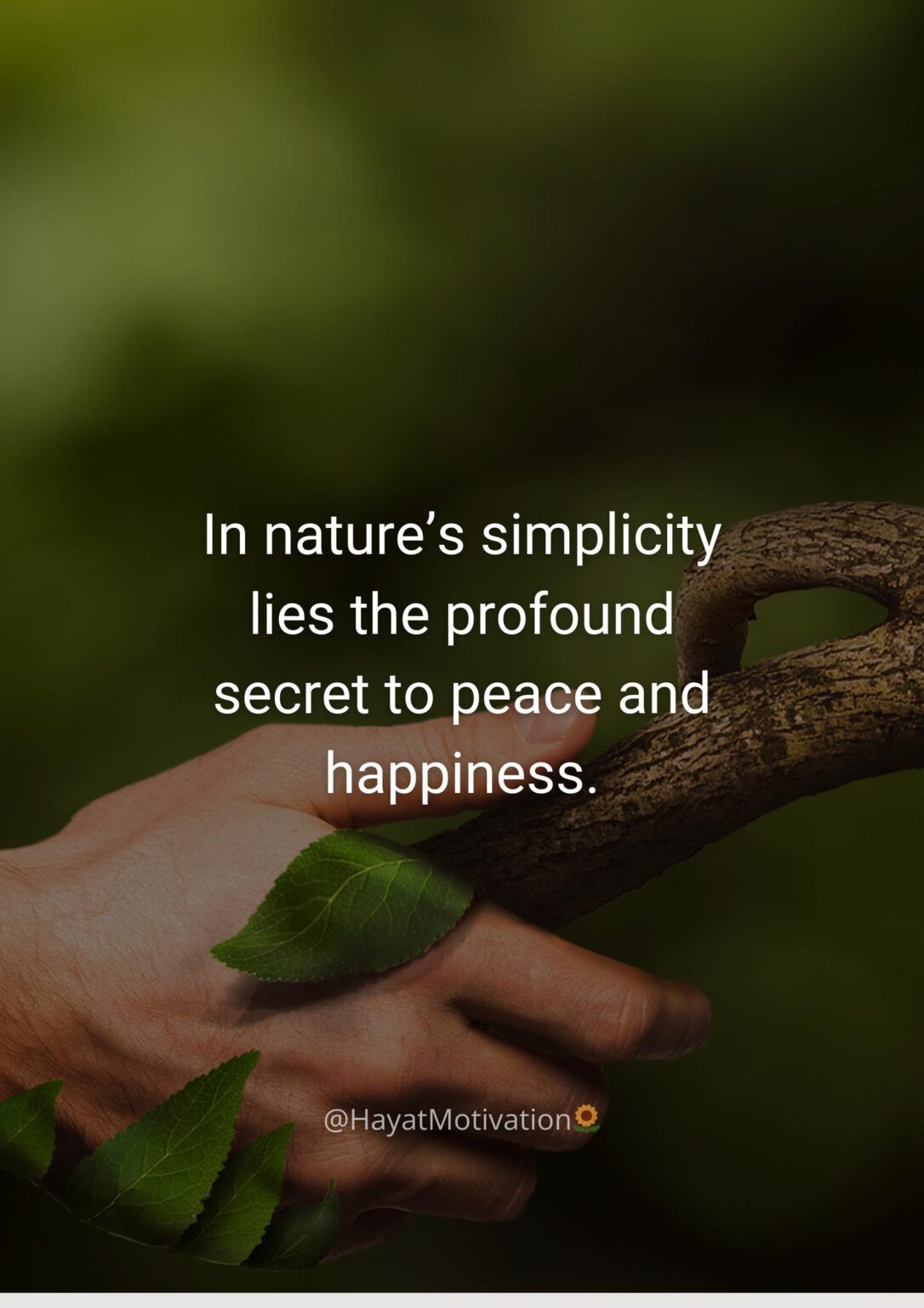 Little Things, Big Heart: How to Find Joy in Everyday Life - Hayat ...